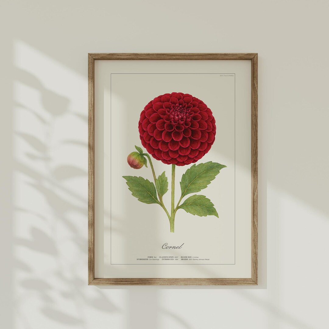 Dahlia Cornel Botanical Print Poster - PHYSICAL PRINT - Etsy