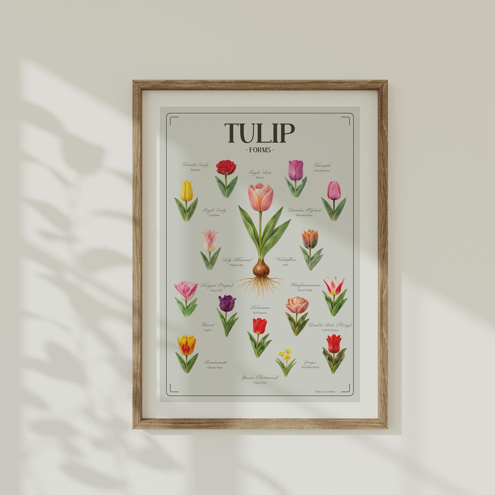 Tulip Forms Botanical Print, Dahlia Wall Art, Flower Poster, Botanical ...