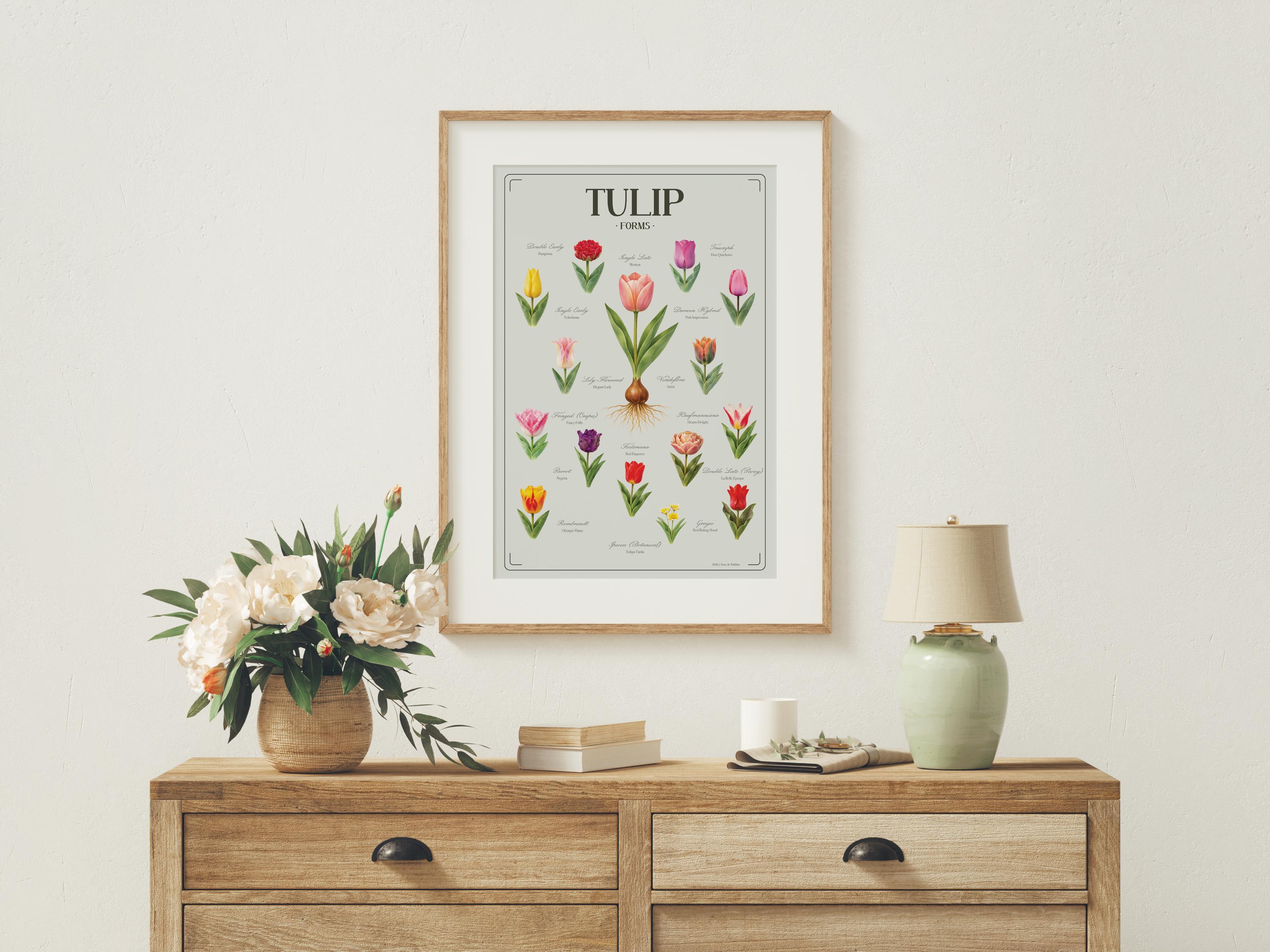 Tulip Forms Botanical Print, Dahlia Wall Art, Flower Poster, Botanical ...