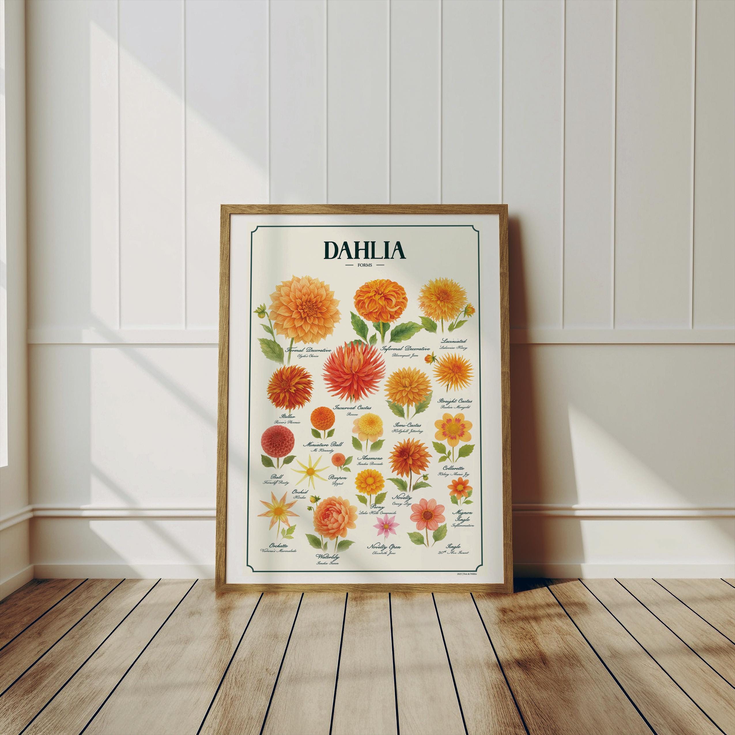 Dahlia Forms Botanical Print, Dahlia Wall Art, Flower Poster, Botanical ...