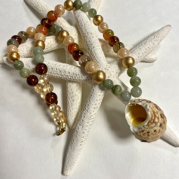 Real Seashell - Etsy