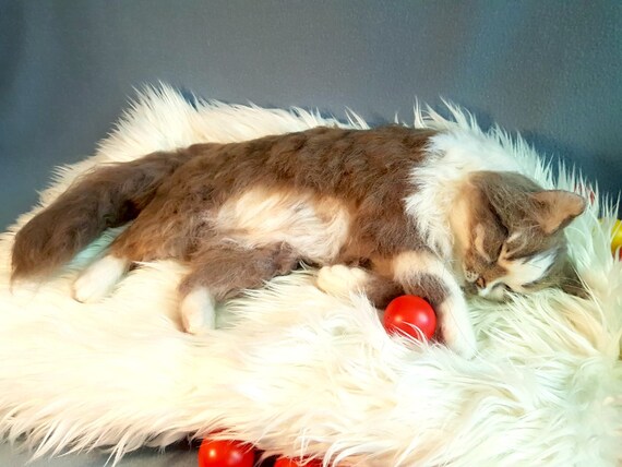 plush cat artist. cat replica life size replica Cat white realistic ...