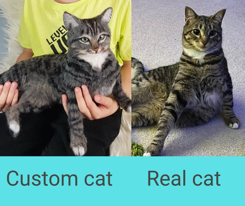 Life Look Cats Replicas Realististic Cat by Photos Needle - Etsy