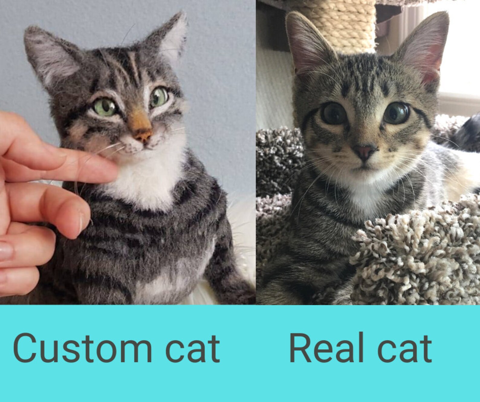 Life Look Cats Replicas Realististic Cat by Photos Needle | Etsy