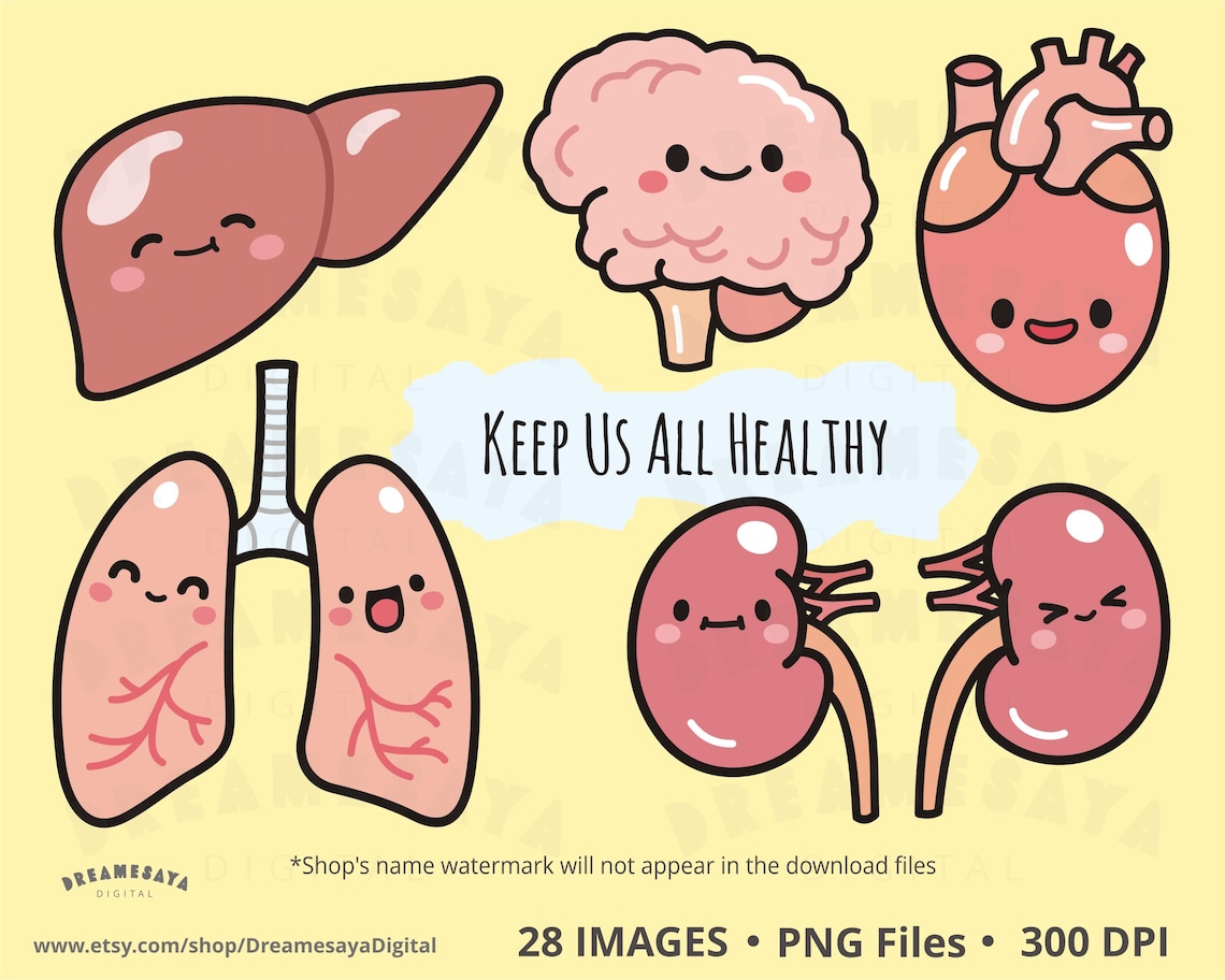 Human Organs PNG Clip Art Pack of Cute Cartoon Internal Body Parts ...