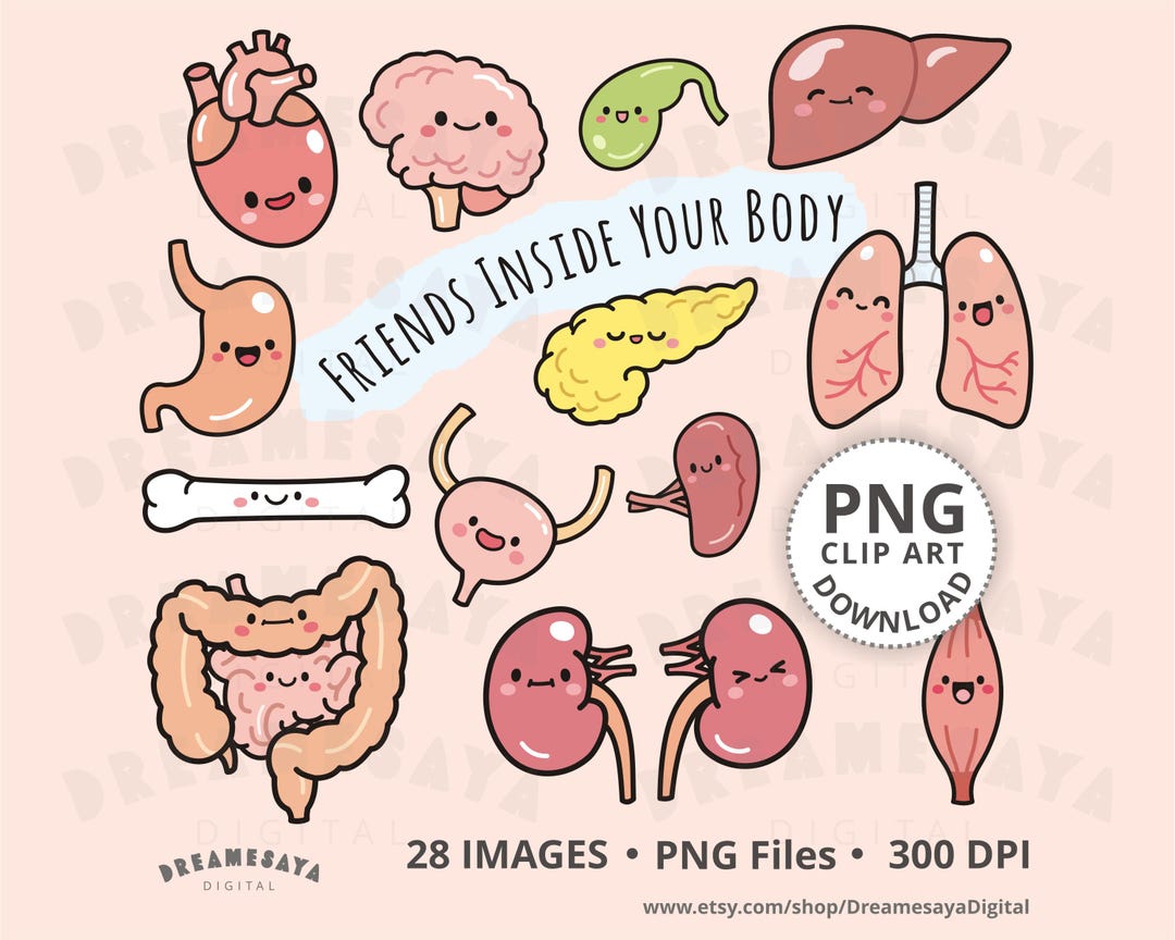 Human Organs PNG Clip Art Pack of Cute Cartoon Internal Body Parts ...