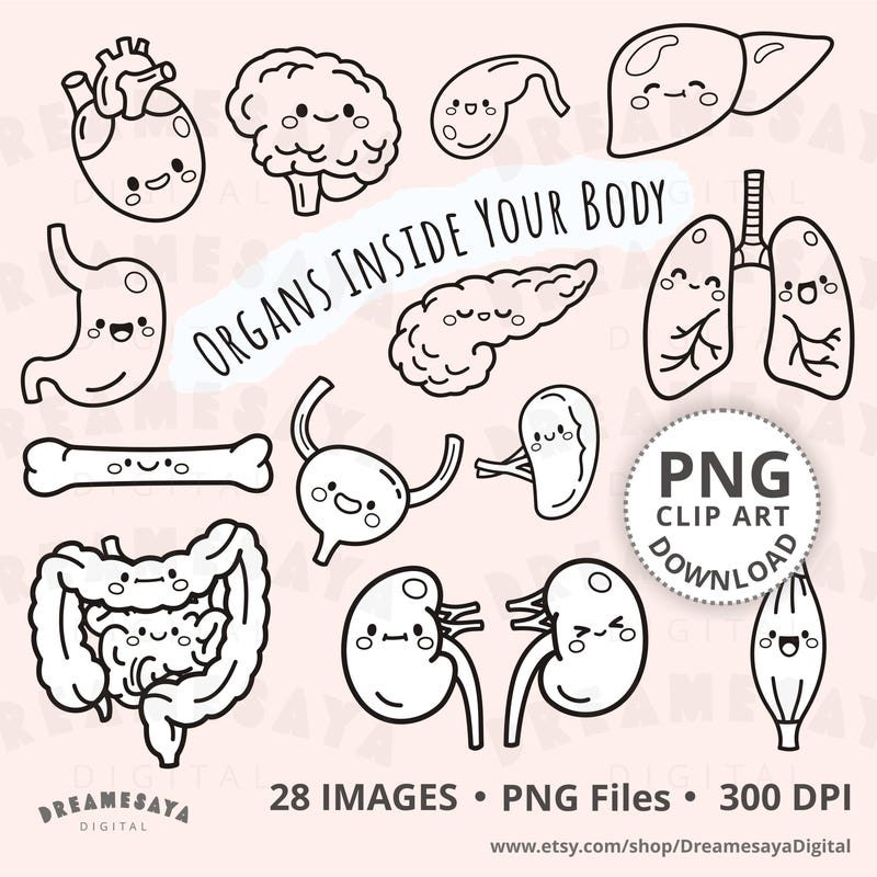 Cartoon Body Organs - Etsy