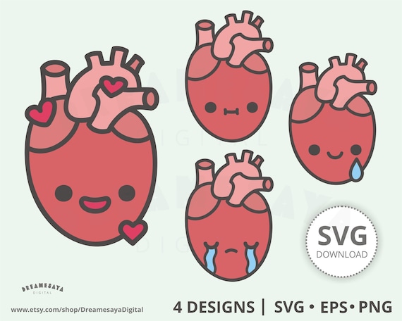Animated Human Heart
