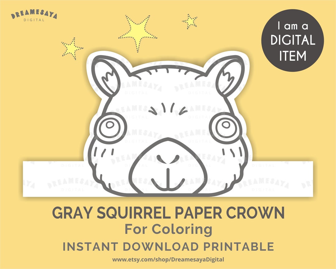 Gray Squirrel Party Hat for Coloring Printable JPG File Download - Etsy