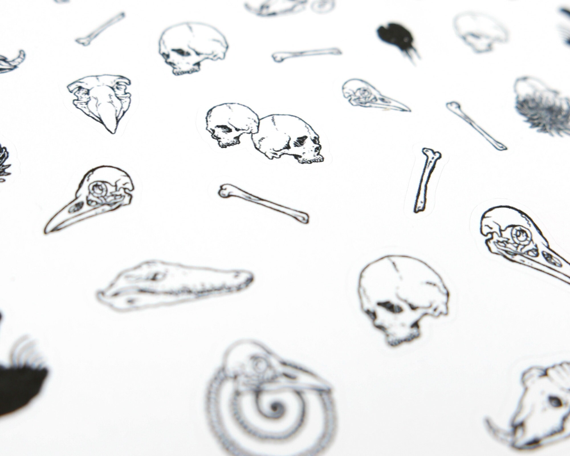 60 Matte Mini Stickers skulls and Bones - Etsy