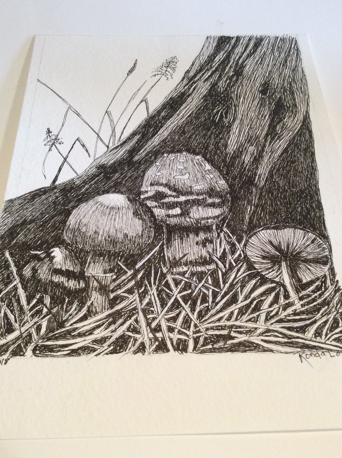 Original, Pen and Ink Drawing, Wild Mushrooms in the Forest, Nature ...
