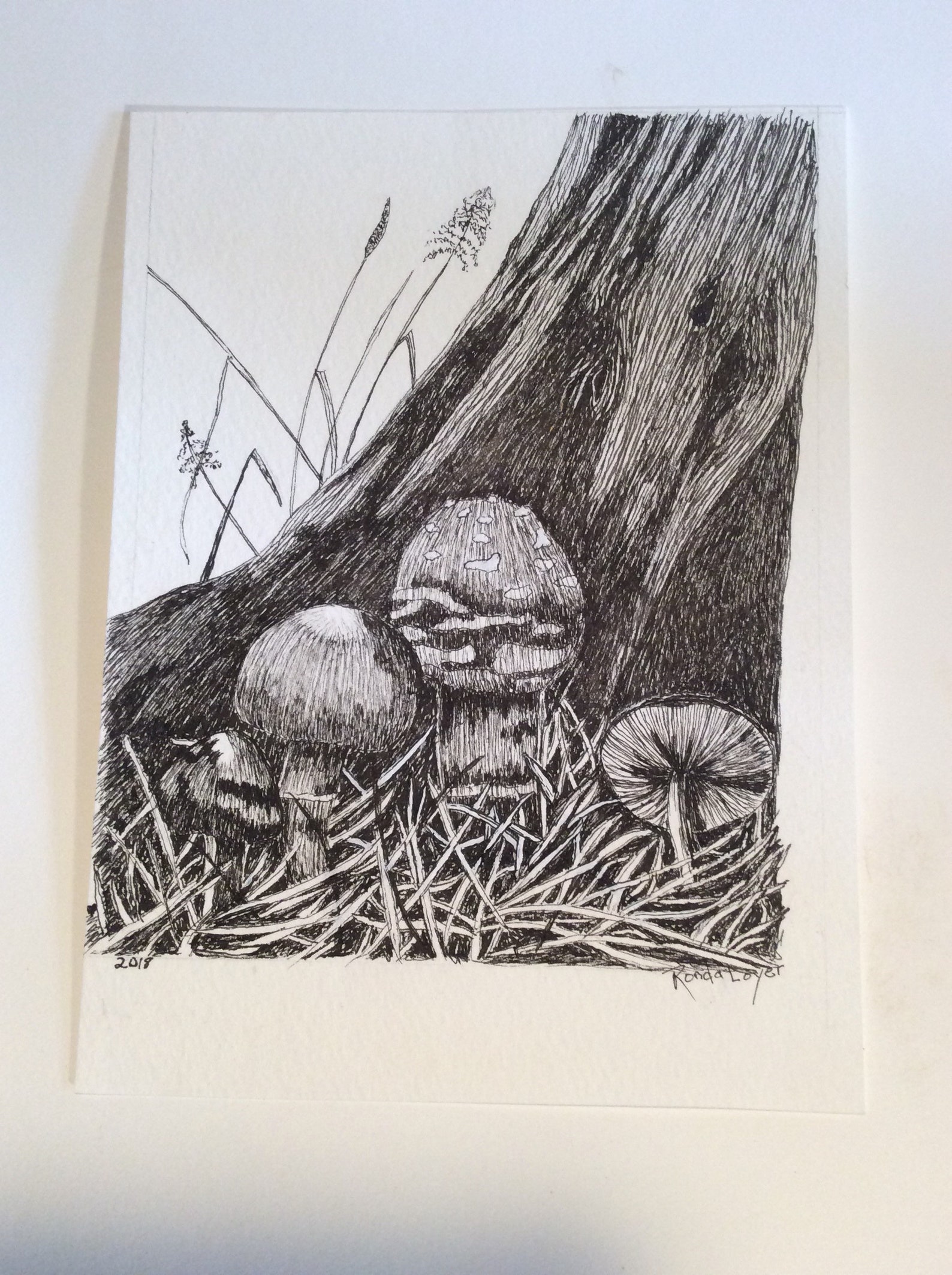 Original, Pen and Ink Drawing, Wild Mushrooms in the Forest, Nature ...