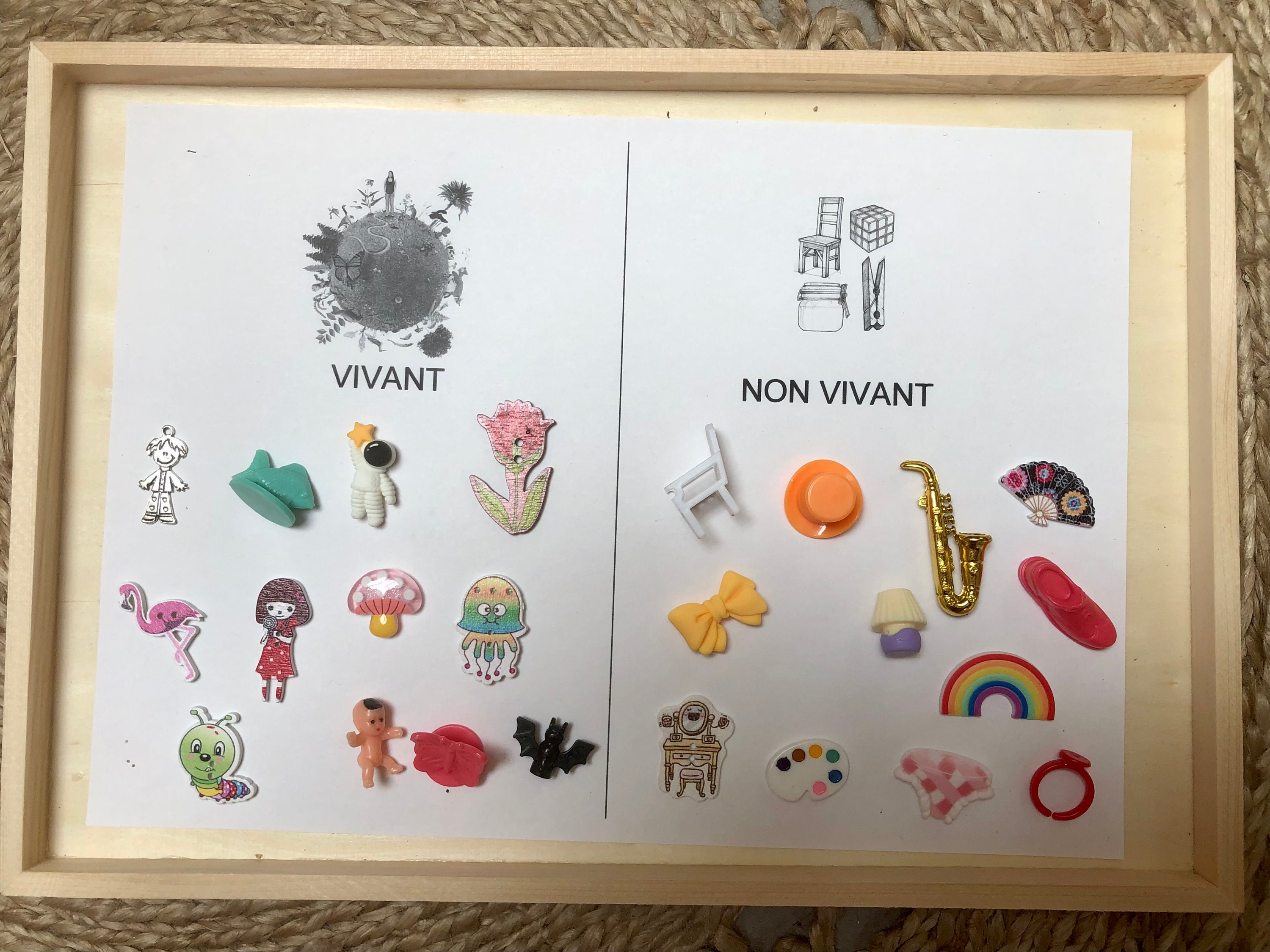 LIVING / NON-LIVING Sorting Activity, Montessori, Sorting Activity, 24 ...