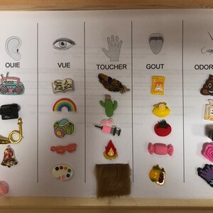 Montessori Sorting Activity 5 Senses, Touch, Taste, Sight, Hearing ...