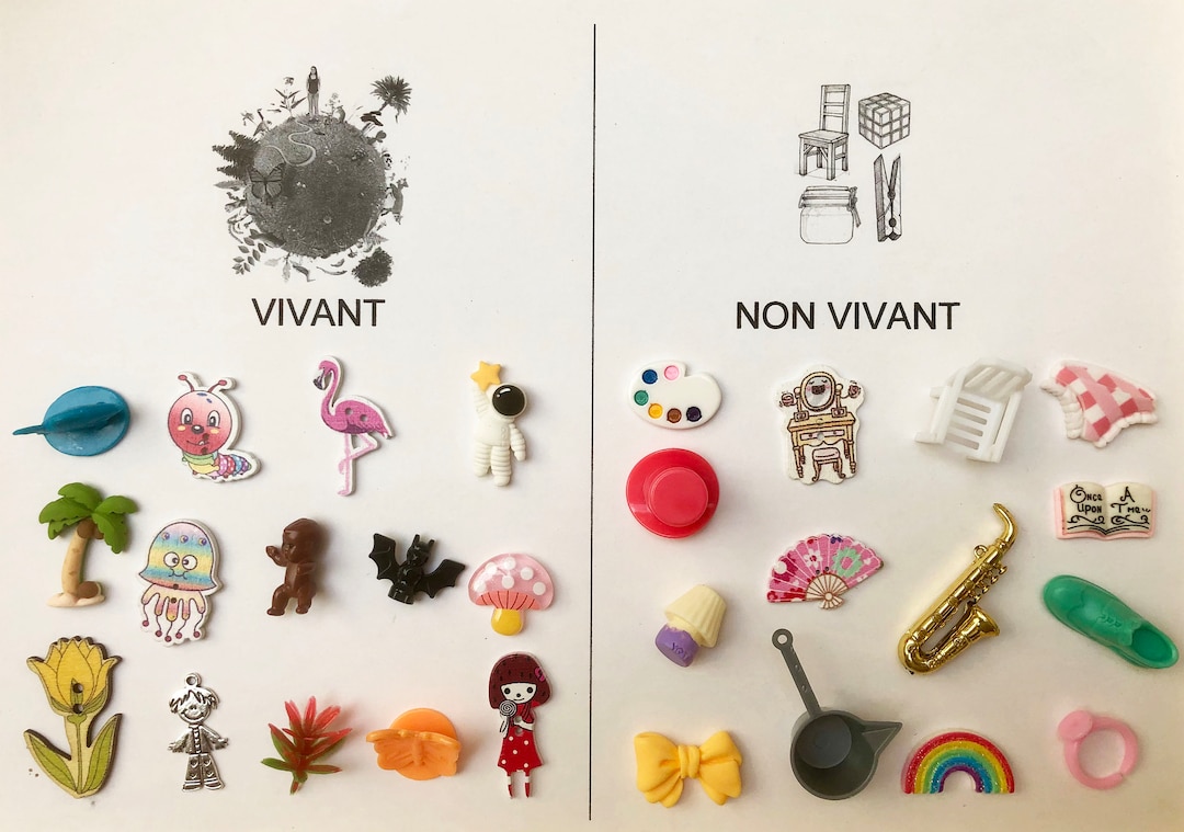 Activité Tri VIVANT / NON VIVANT Montessori Activité Tri 24 - Etsy