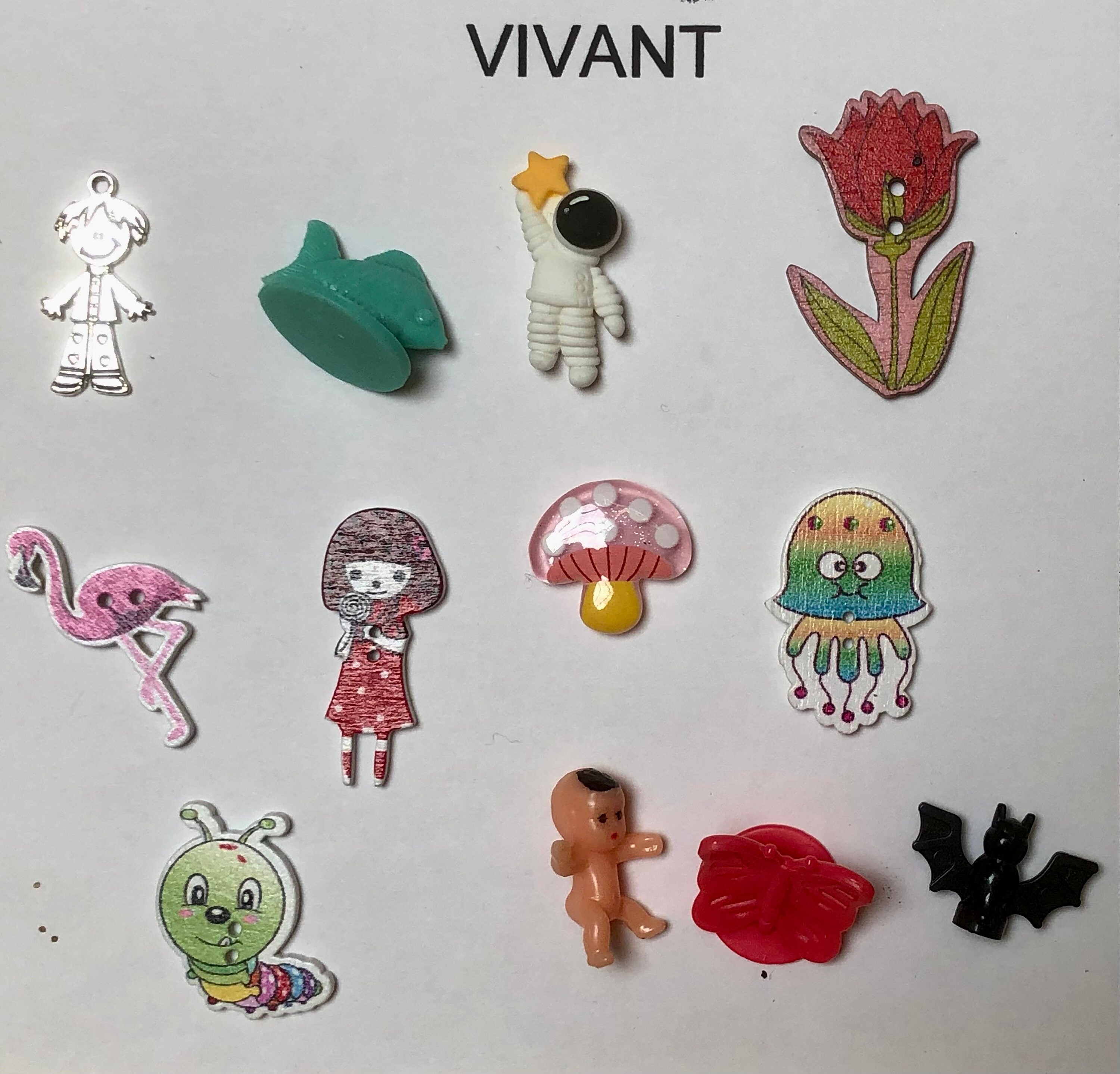 LIVING / NON-LIVING Sorting Activity, Montessori, Sorting Activity, 24 ...