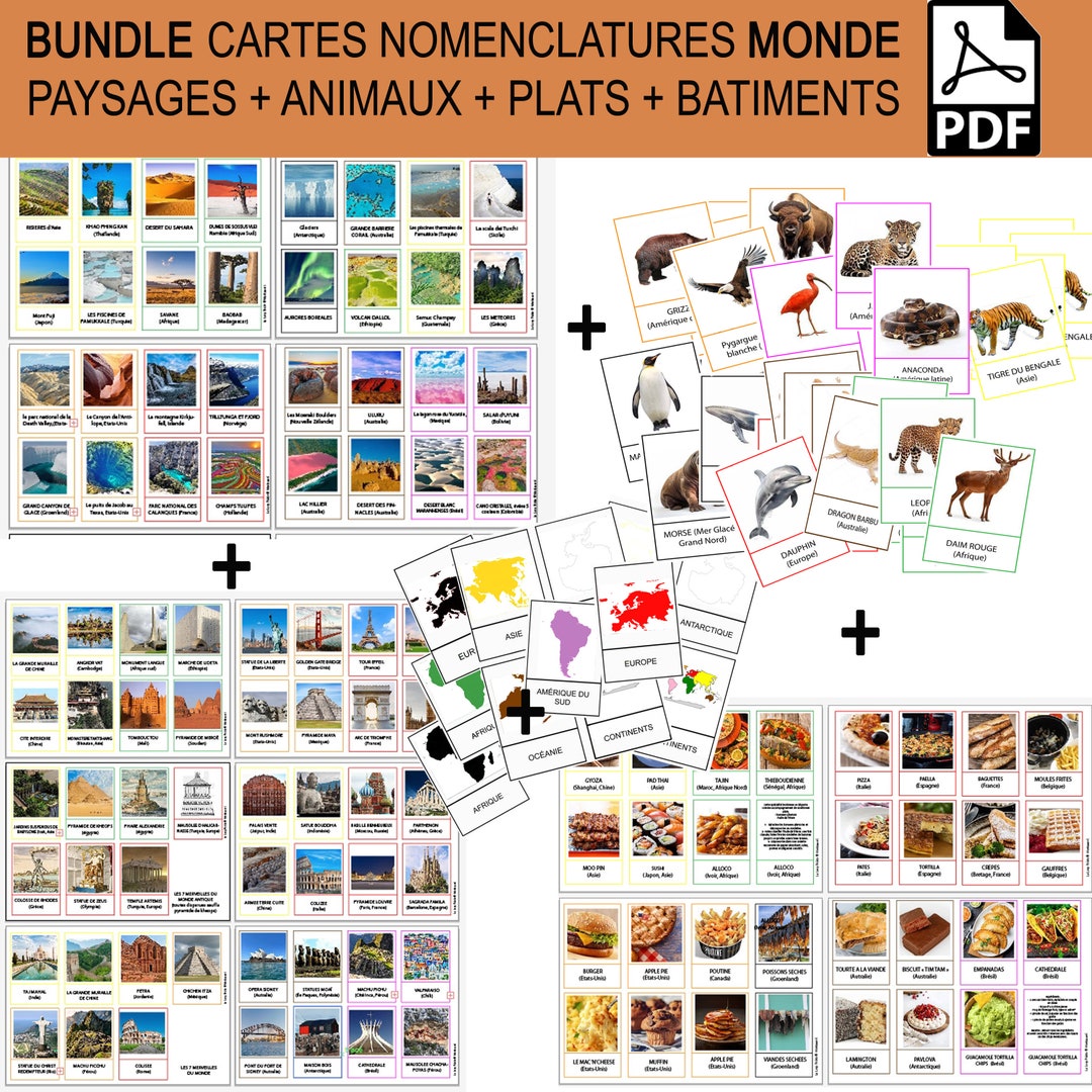 BUNDLE +160 World Cards: Animals + Continents + Landscapes + Food ...