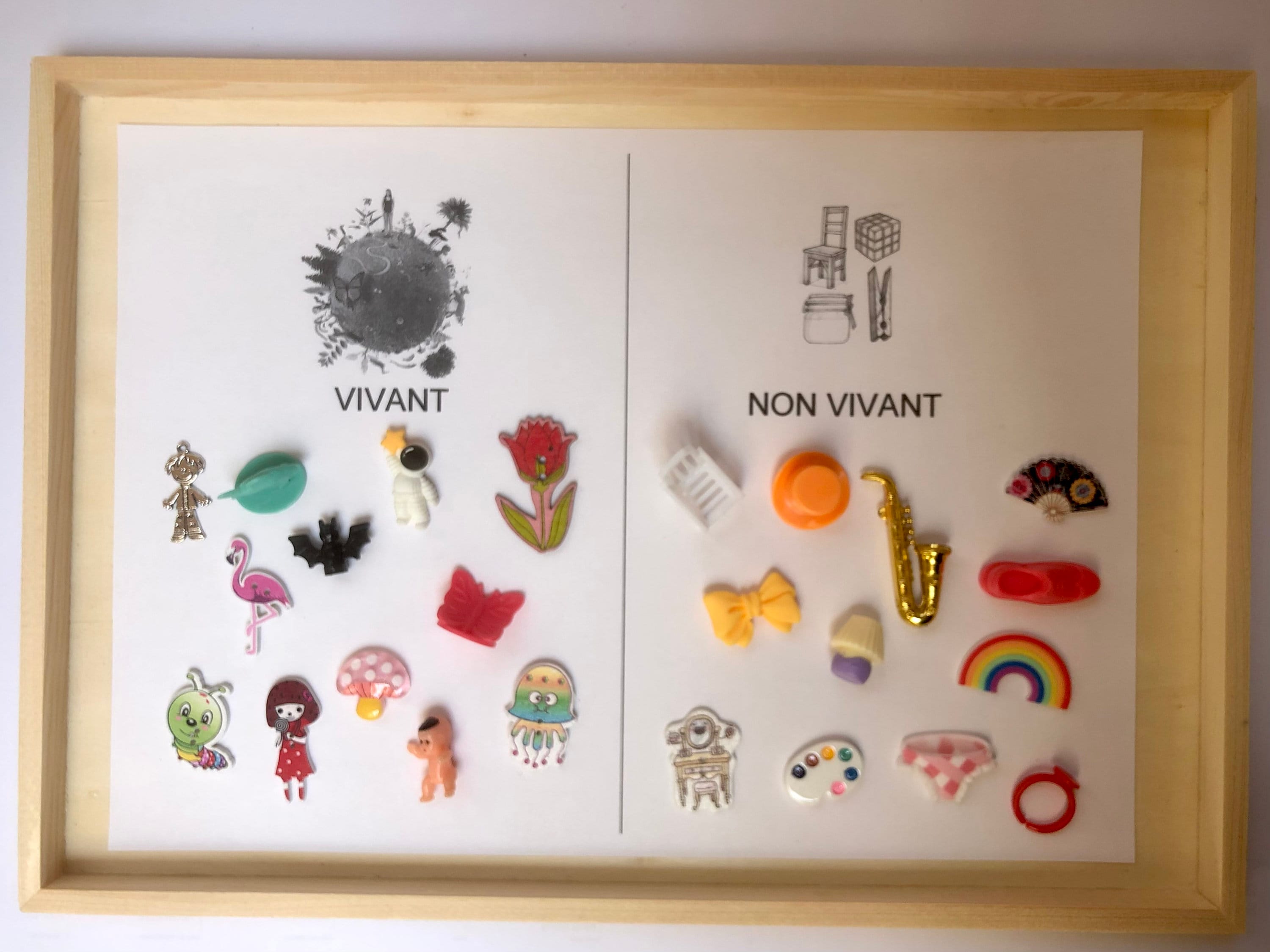 LIVING / NON-LIVING Sorting Activity, Montessori, Sorting Activity, 24 ...