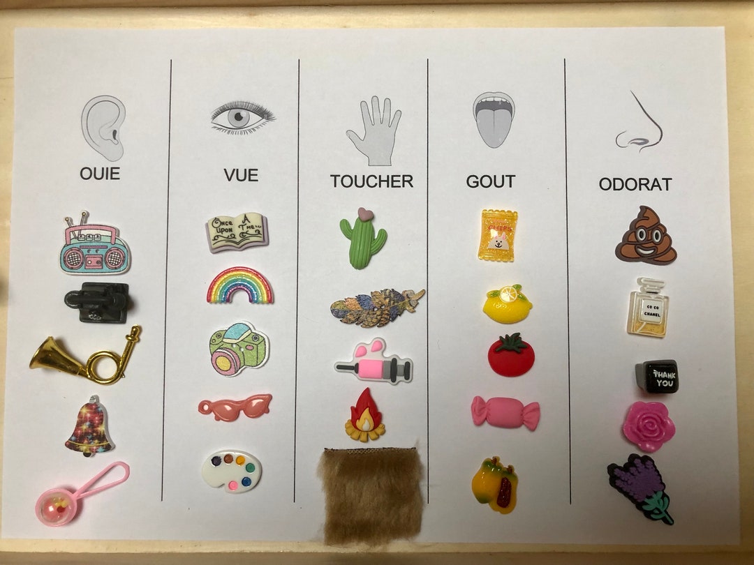 Montessori Activité Tri 5 Sens, Toucher, Gout, Vue, Ouie, Odorat, 5x5 ...