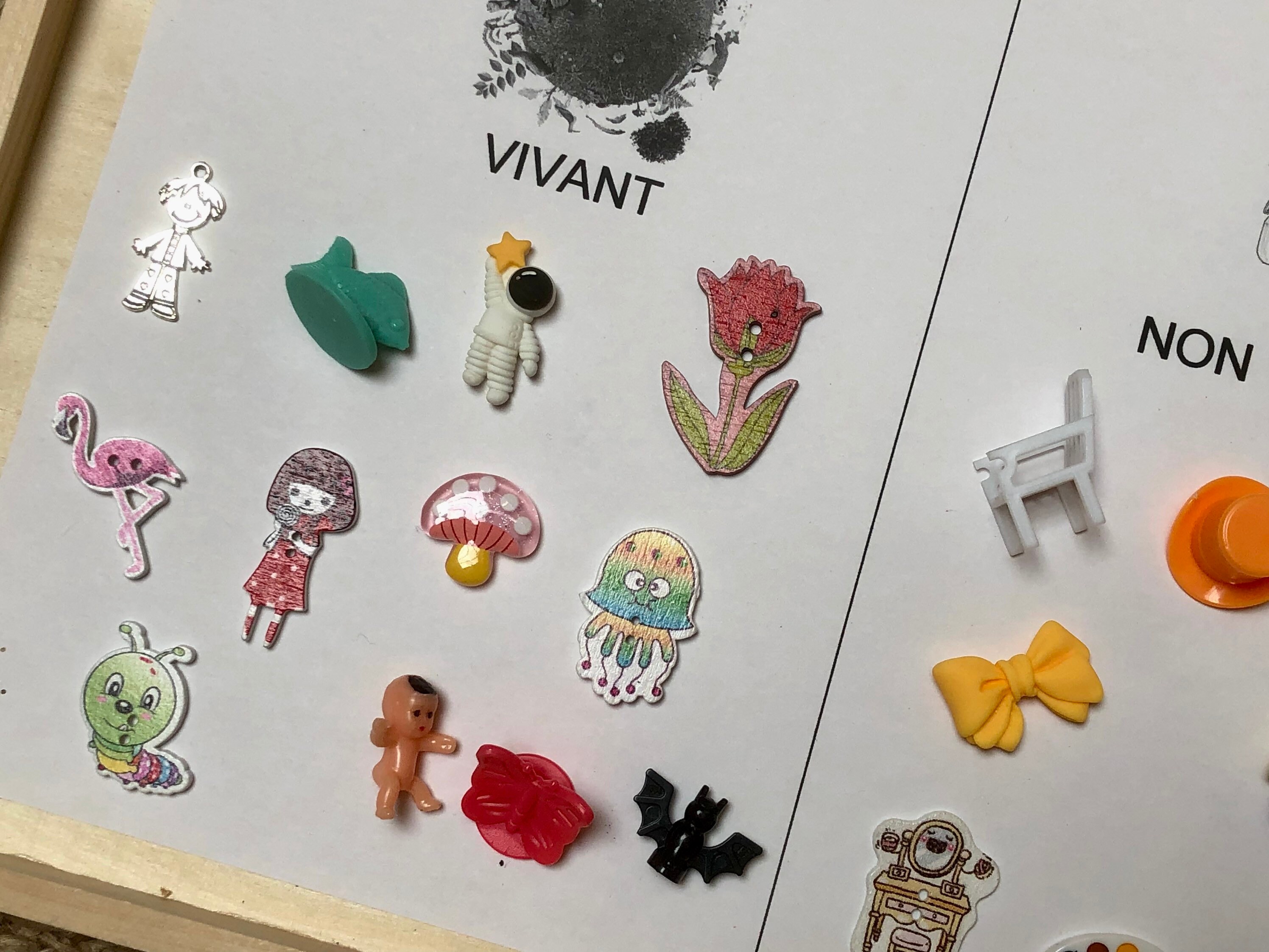 LIVING / NON-LIVING Sorting Activity, Montessori, Sorting Activity, 24 ...