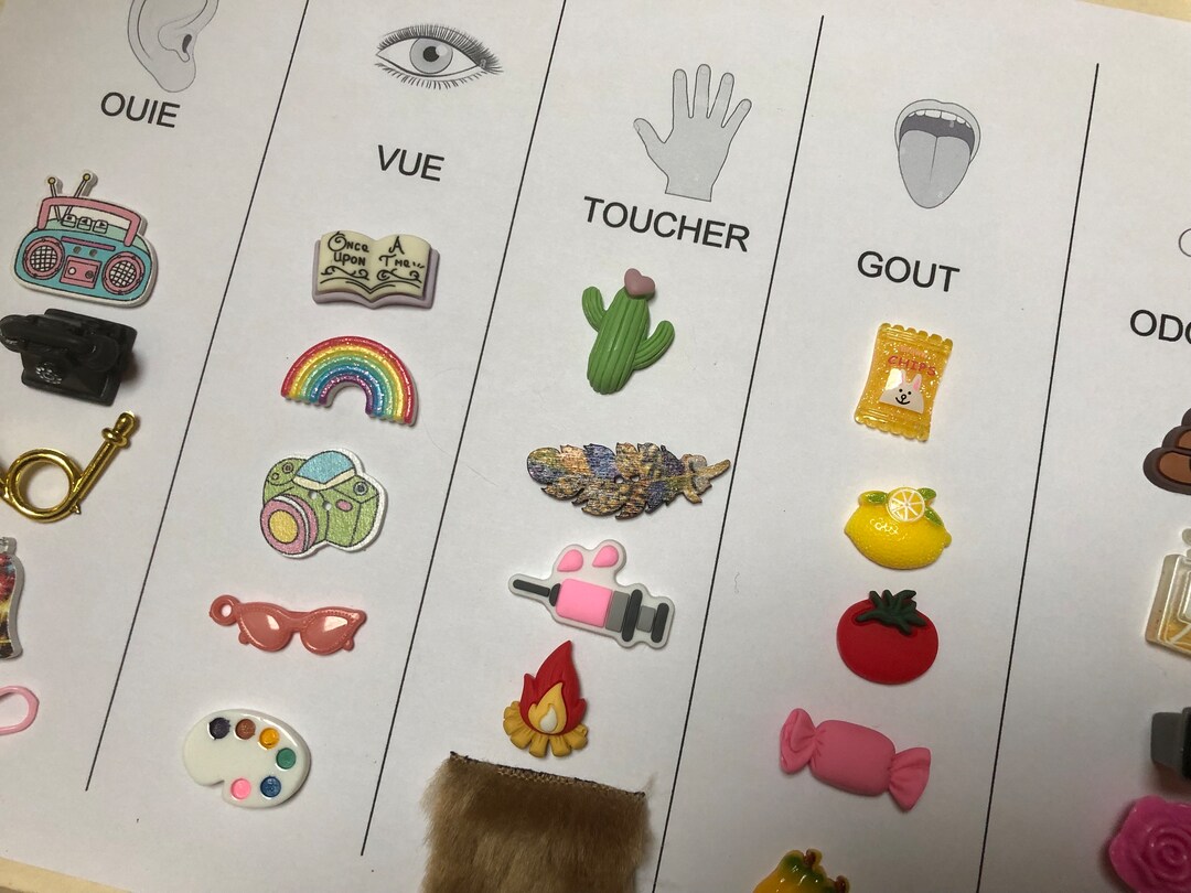 Montessori Sorting Activity 5 Senses Touch Taste Sight - Etsy