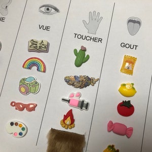 Montessori Sorting Activity 5 Senses, Touch, Taste, Sight, Hearing ...