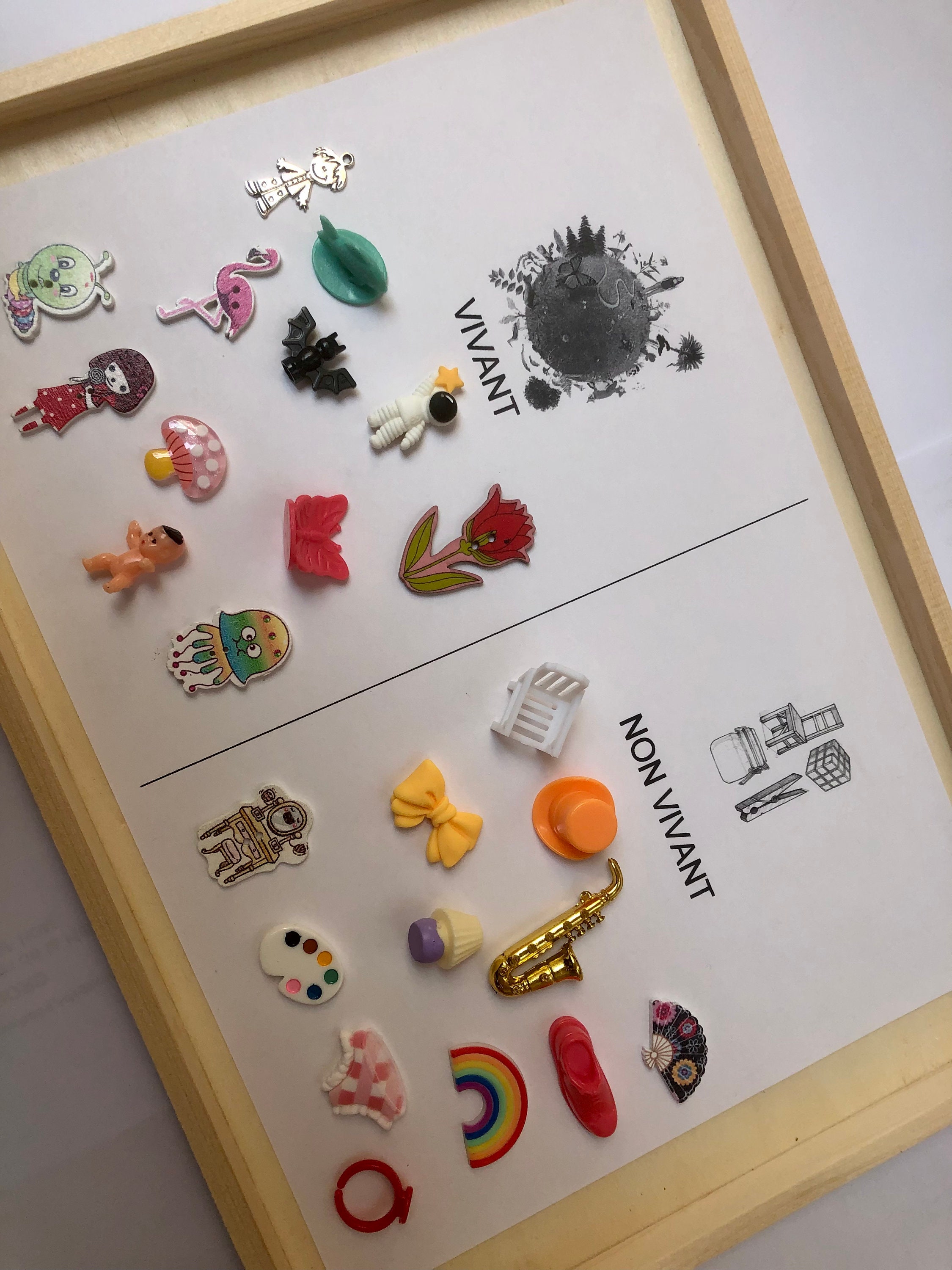 LIVING / NON-LIVING Sorting Activity, Montessori, Sorting Activity, 24 ...