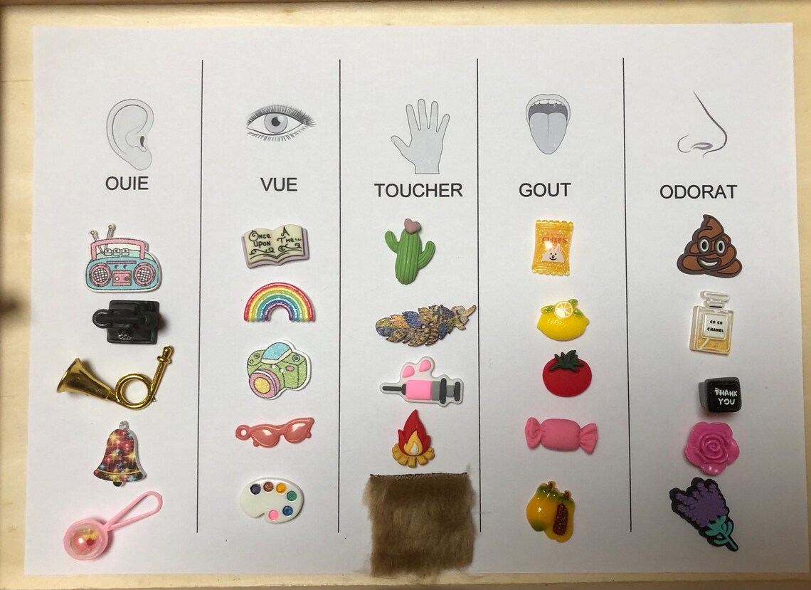 Montessori Sorting Activity 5 Senses, Touch, Taste, Sight, Hearing ...