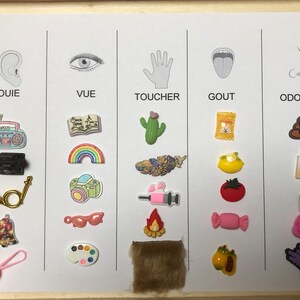 Montessori Sorting Activity 5 Senses, Touch, Taste, Sight, Hearing ...