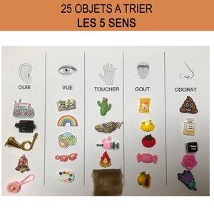 Montessori Sorting Activity 5 Senses, Touch, Taste, Sight, Hearing ...