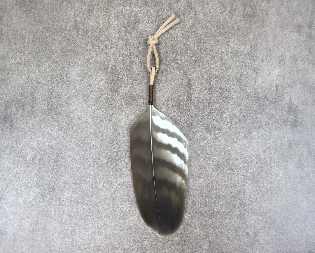 Real Buzzard Feather, Ethical Natural Feather Pendant for Hairstyle ...