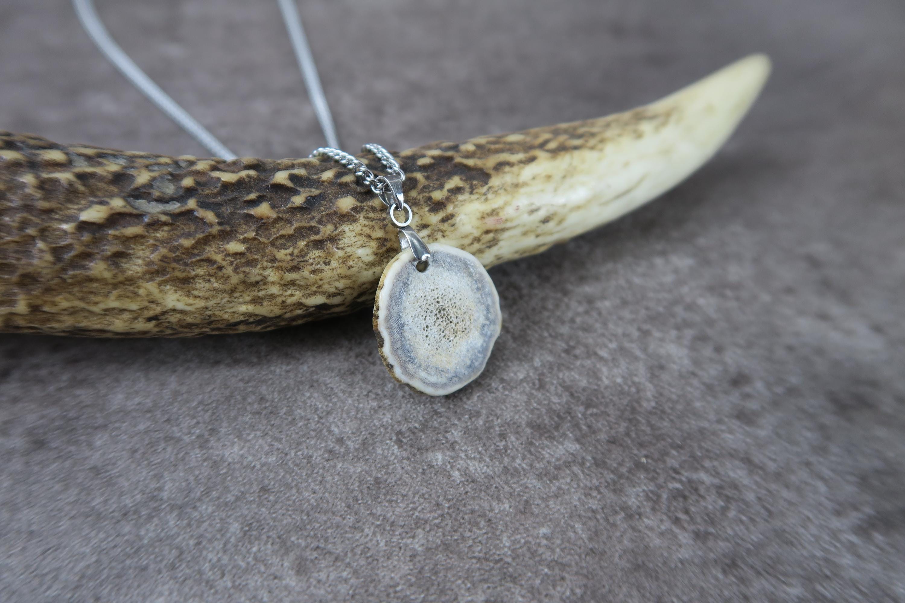 Deer Antler Medallion, Natural Antler Lucky Charm, Deer Anter Talisman ...