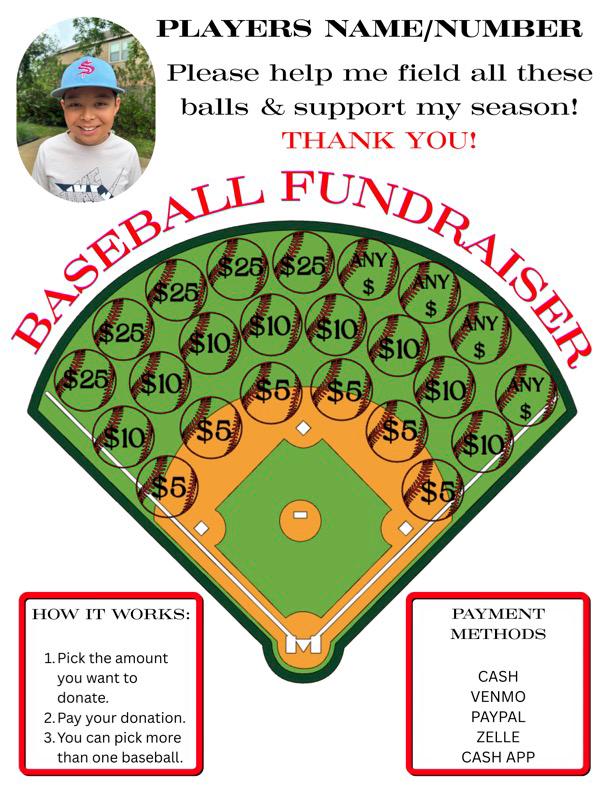 Editable Baseball Fundraiser Template: Printable Donation Tracker (PDF ...