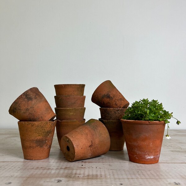 Rustic Pots - Etsy