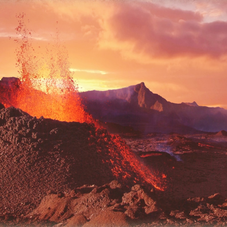 Ammonite Tree-like Formations in Shades of Pink, Made of Enameled Lava ...