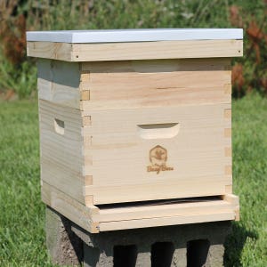 Bee Hive 10 Frame Langstroth 1 Deep Brood & 1 Medium Super Boxes ...