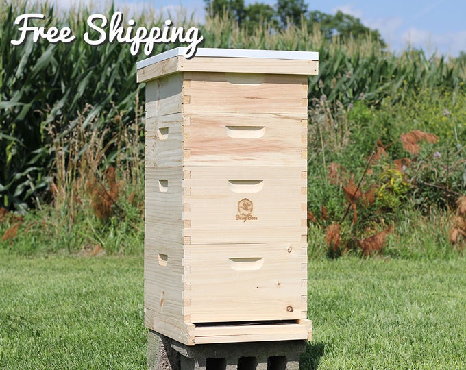 Bee Hive 10 Frame Langstroth 2 Deep Brood Boxes & 2 Medium Super Boxes ...