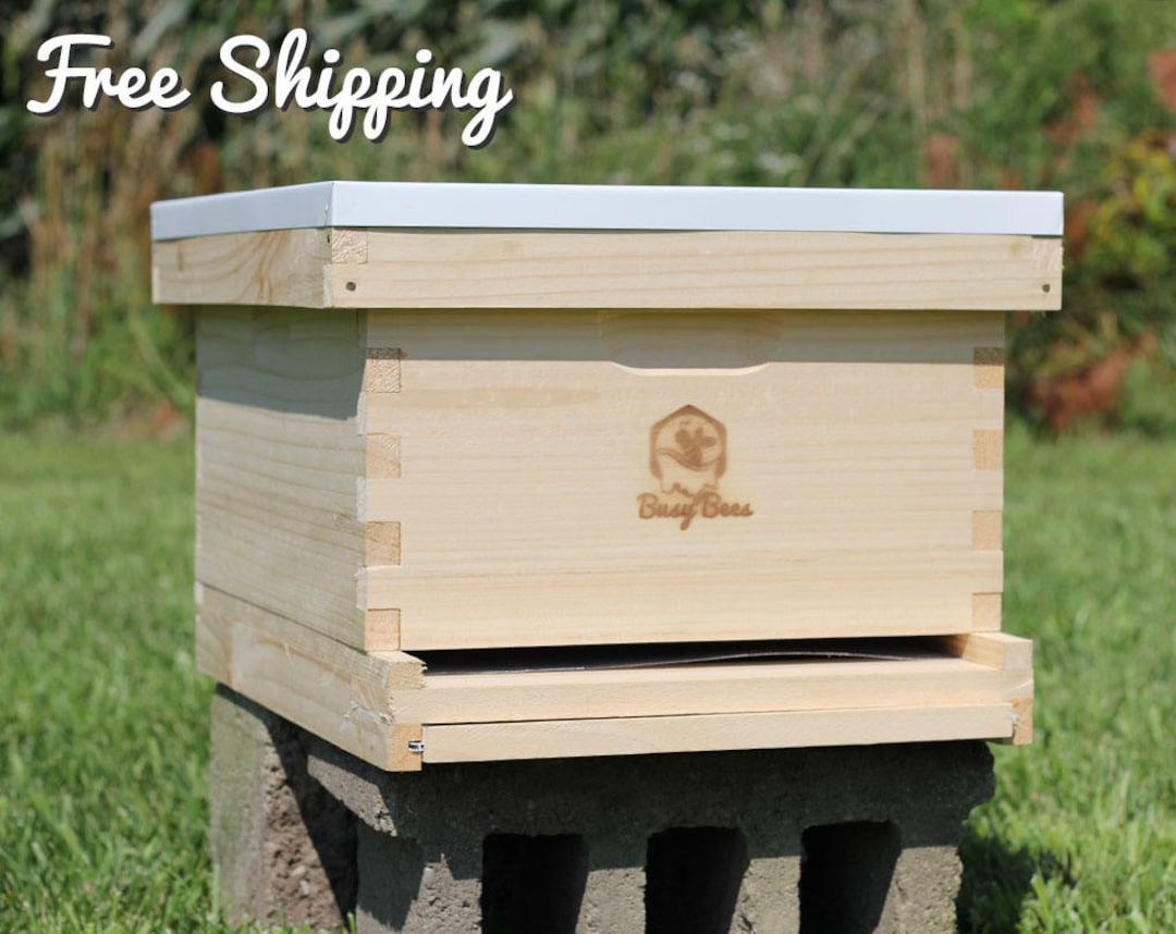 Honey Bee Starter Hive Complete With Frames & Foundations - Etsy