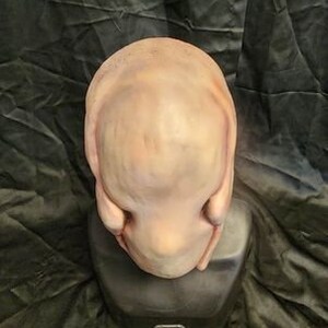 Silent Hill Inspired Bubblehead Nurse Style Latex Mask - Etsy