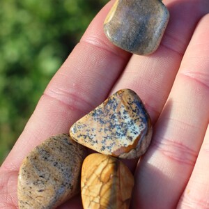 Tumbled Picture Jasper, Tumbled Jasper, Picture Jasper - Etsy