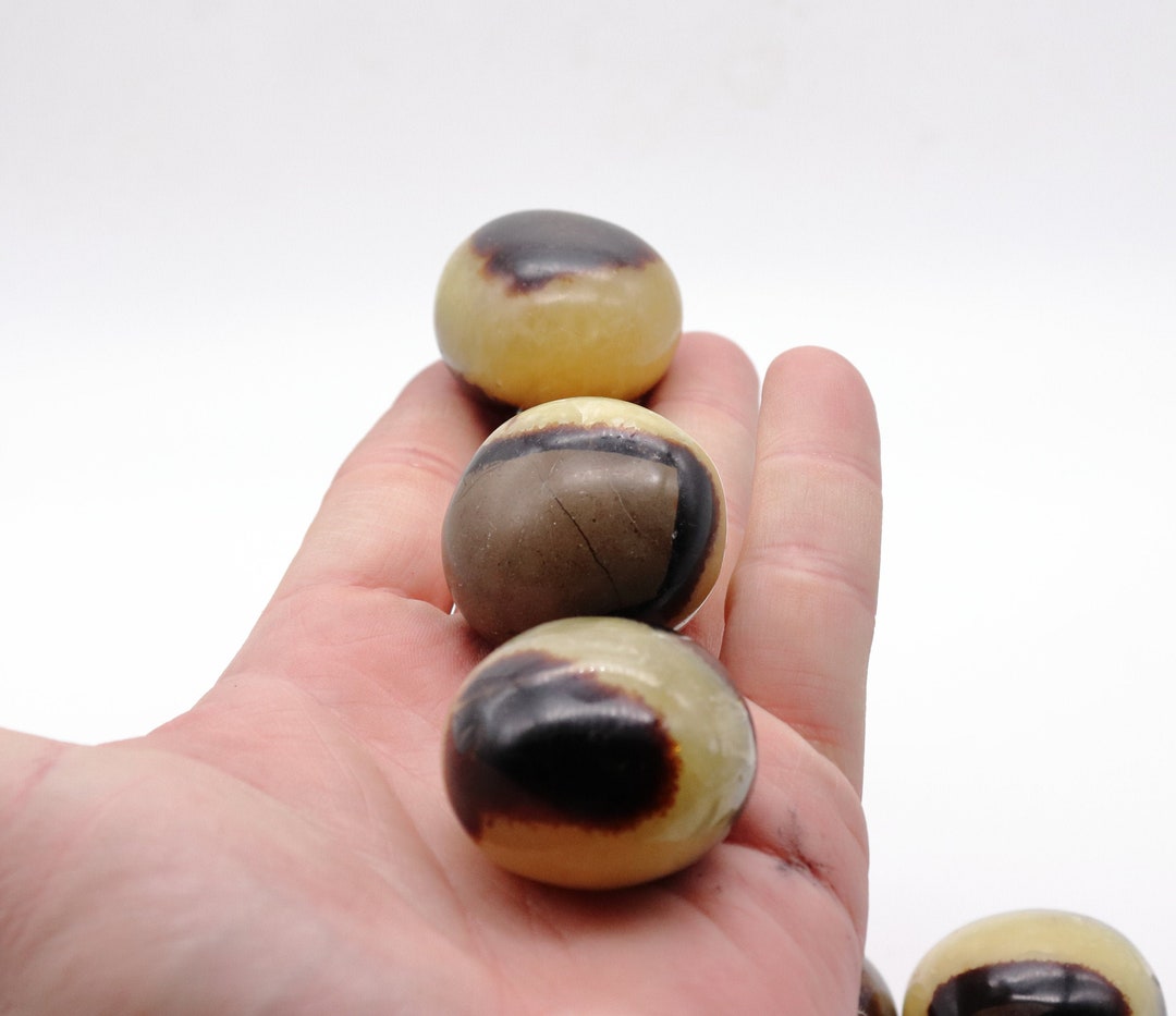 Tumbled Large Septarian - Etsy