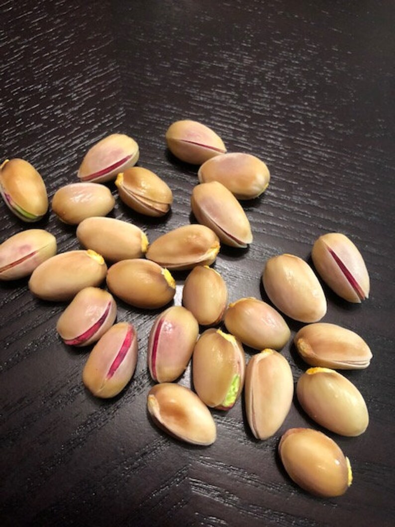 25 Pistachio Seeds from Golden Hill Pistachio Tree grown in | Etsy