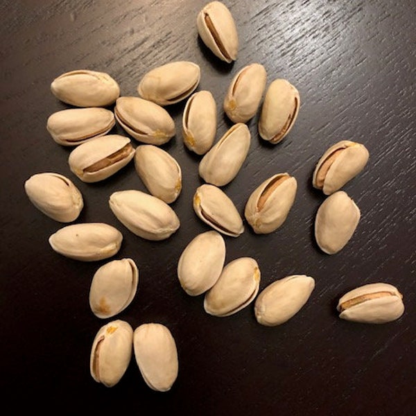 Pistachio Tree - Etsy