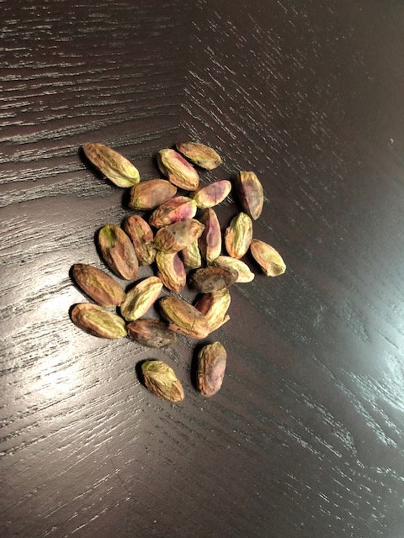 25 Pistachio Seeds from Golden Hill Pistachio Tree grown in | Etsy