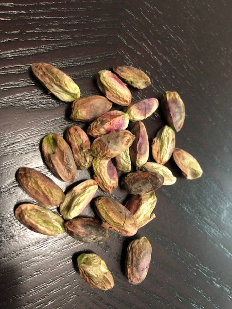 25 Pistachio Seeds from Golden Hill Pistachio Tree grown in | Etsy