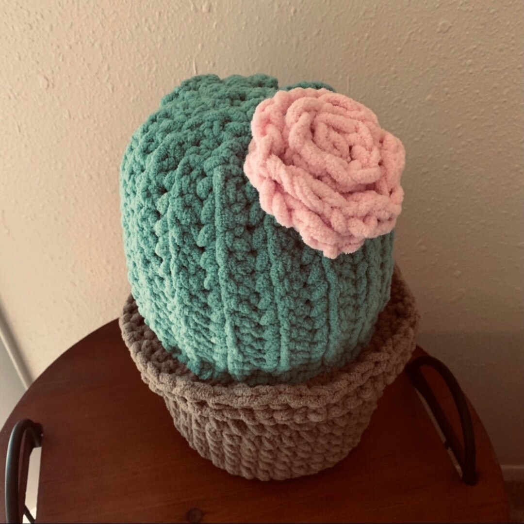 Cactus Pillow Crochet Pattern - Etsy