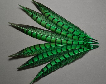 Extra Long Feathers 10 Pieces 16-18 Natural Reeves | Etsy