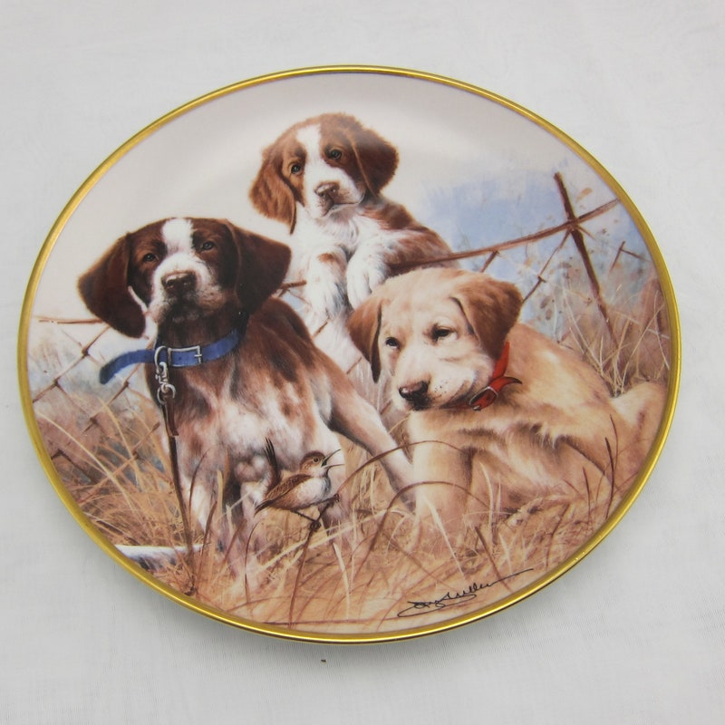 Sporting Dog Art - Etsy