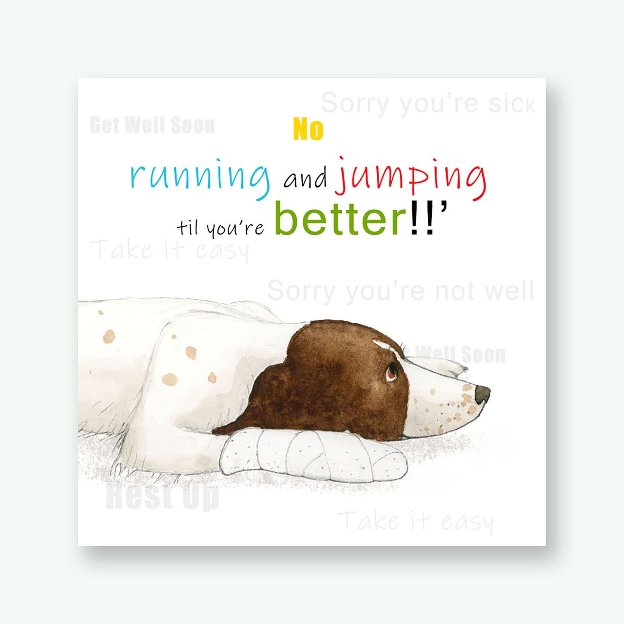 Get Well Soon Animals