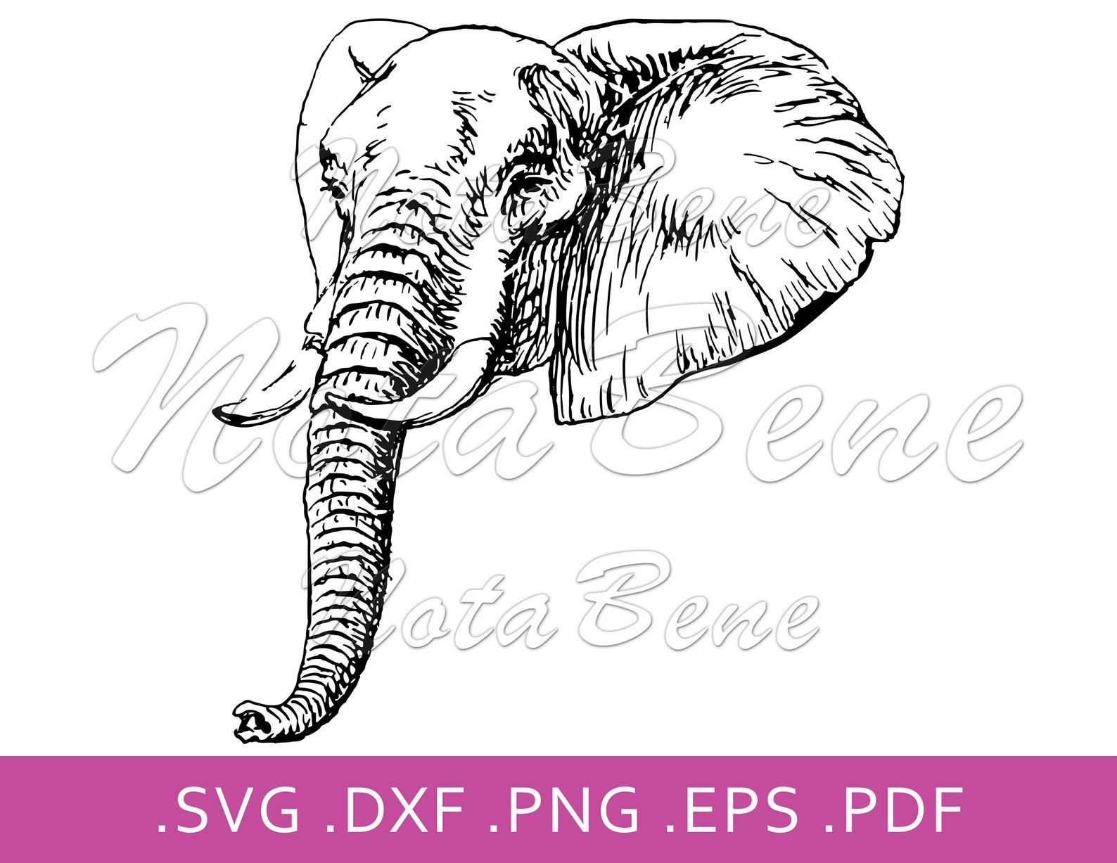Elephant SVG Elephant Head SVG Wildlife African Animal Zoo | Etsy